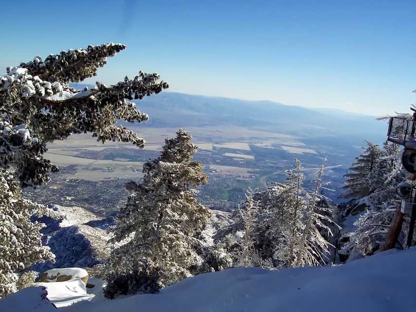 Palm Springs: Aerial Tramway Round-Trip Ticket - Exploring the Palm Springs Aerial Tramway: A Complete Review