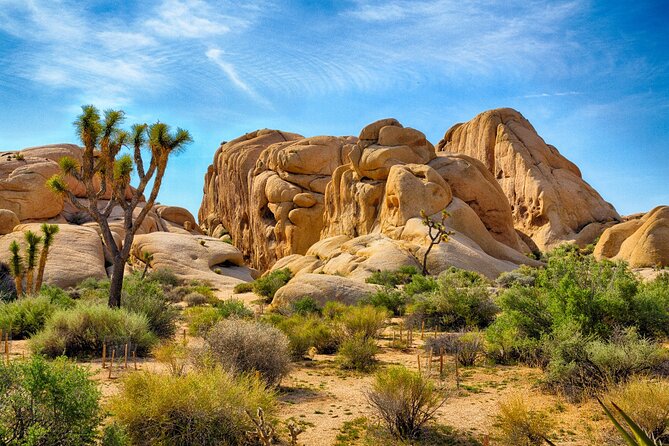 Palm Springs and Joshua Tree Self-Guided Driving Audio Tours - Starting Point: Palm Springs Visitor Center