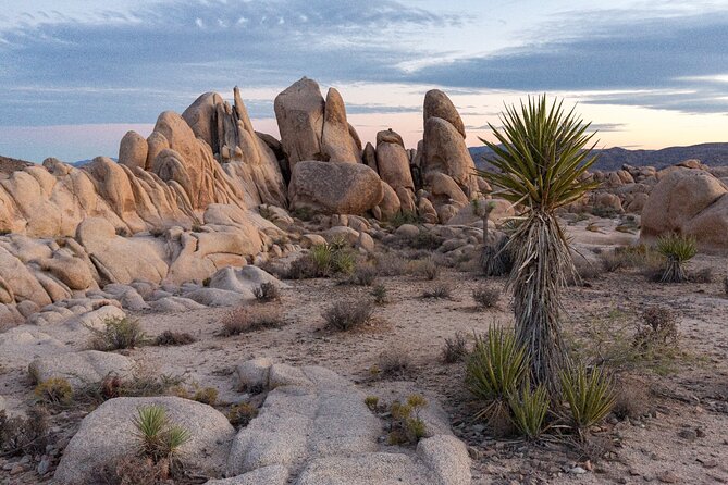 Palm Springs and Joshua Tree Self-Guided Driving Audio Tours - Walk of the Stars