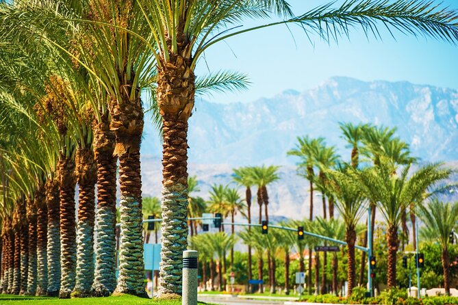 Palm Springs and Joshua Tree Self-Guided Driving Audio Tours - Coachella Valley and the Desert Landscape