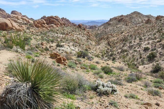 Palm Springs and Joshua Tree Self-Guided Driving Audio Tours - Marilyn Monroe and Desert Art