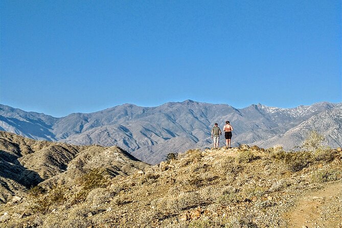 Palm Springs Hike to an Oasis and Amazing Desert Views - Exploring the Palm Springs Hike to an Oasis and Desert Views