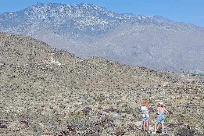 Palm Springs Hike to an Oasis and Amazing Desert Views - The Experience in Detail