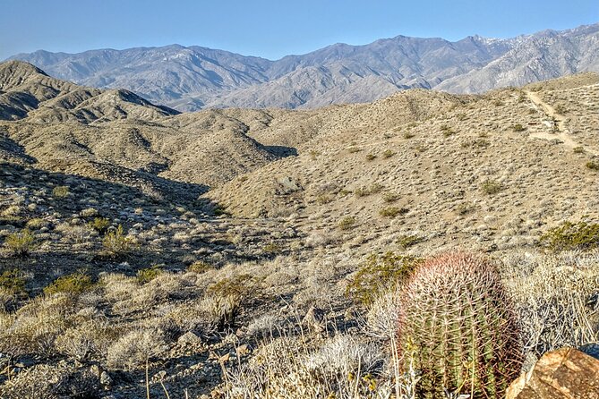 Palm Springs Hike to an Oasis and Amazing Desert Views - Why This Tour Is Worth It