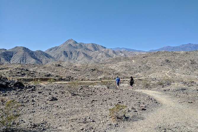 Palm Springs Hike to an Oasis and Amazing Desert Views - Who Should Consider This Experience?