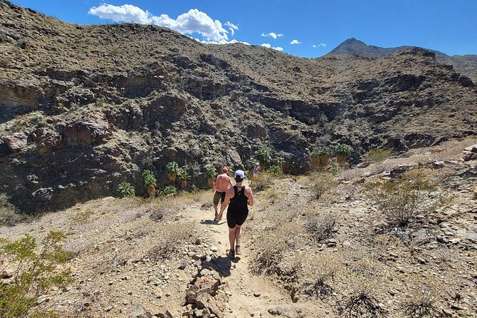 Palm Springs Hike to an Oasis and Amazing Desert Views - FAQs