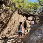 Palm Springs: Indian Canyons Jeep/Hiking Combo Tour - Who Should Consider This Tour?