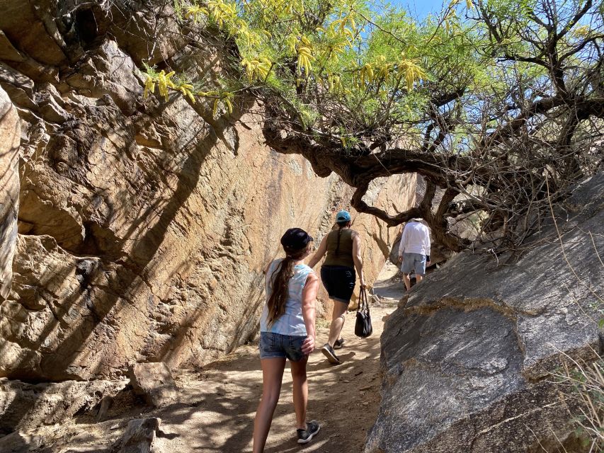 Palm Springs: Indian Canyons Jeep/Hiking Combo Tour - Who Should Consider This Tour?
