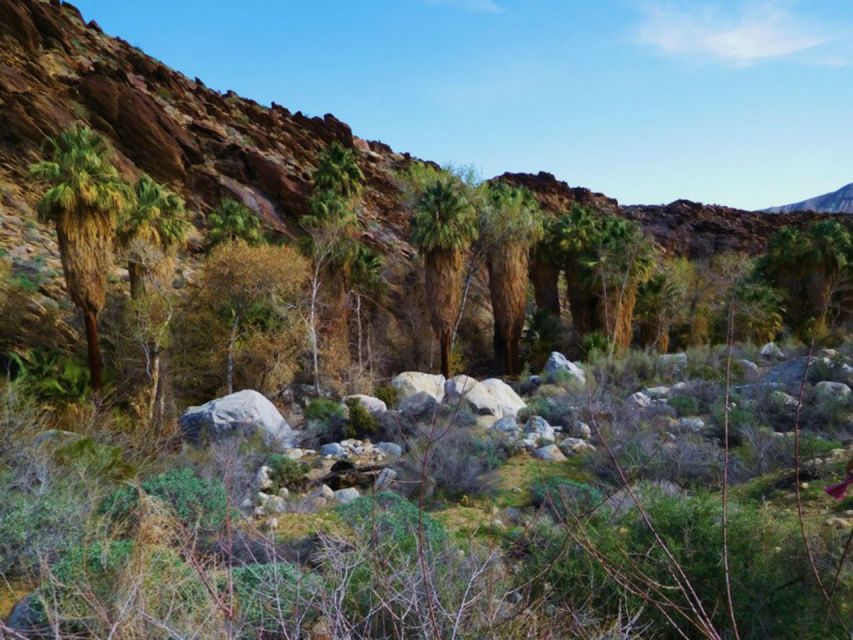 Palm Springs: Indian Canyons Jeep/Hiking Combo Tour - FAQ