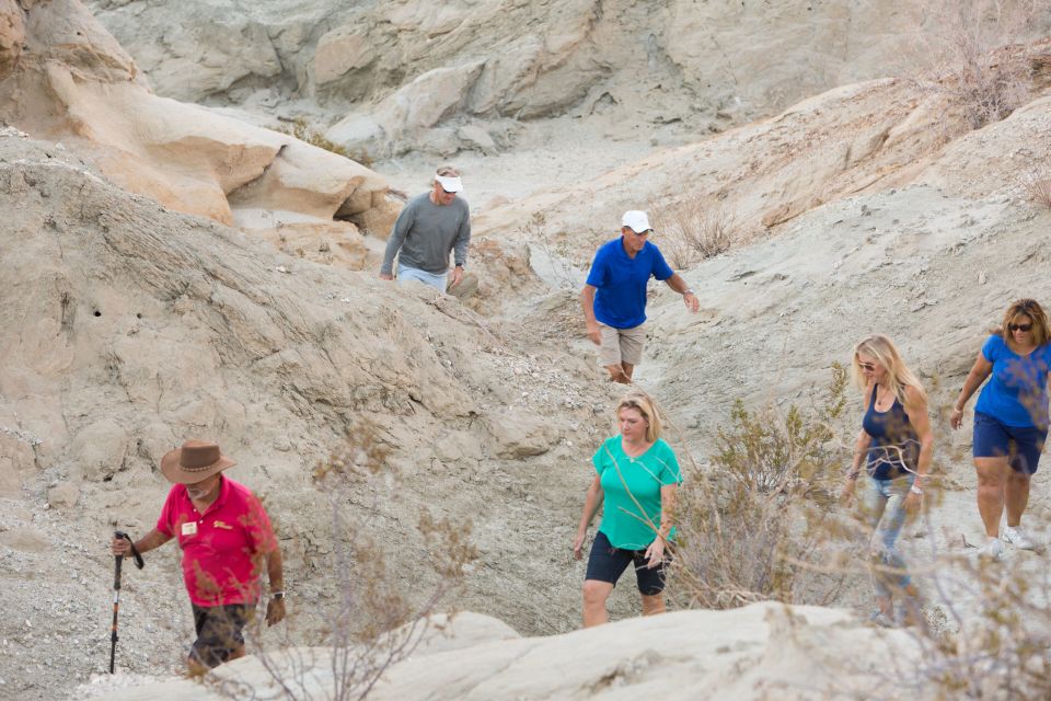 Palm Springs: San Andreas Fault Open-Air Jeep Tour - Final Thoughts