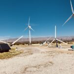 Palm Springs: Self-Driving Windmill Tour - Insights from Reviews