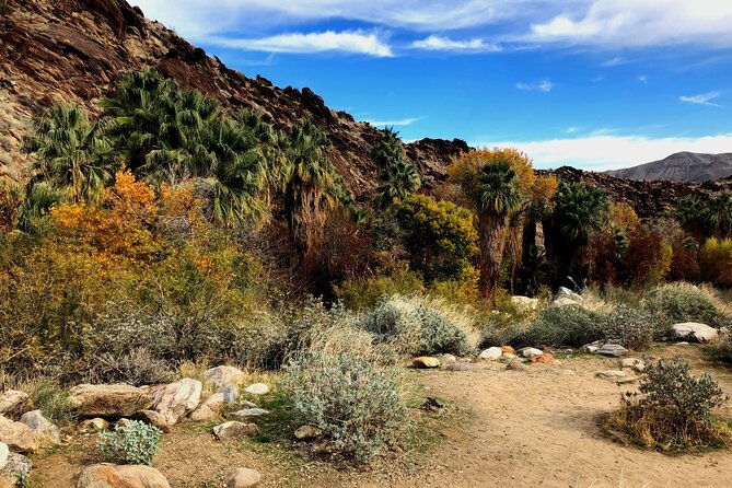 Palm Springs Self-Guided Driving Audio Tour - A Deep Dive into the Itinerary