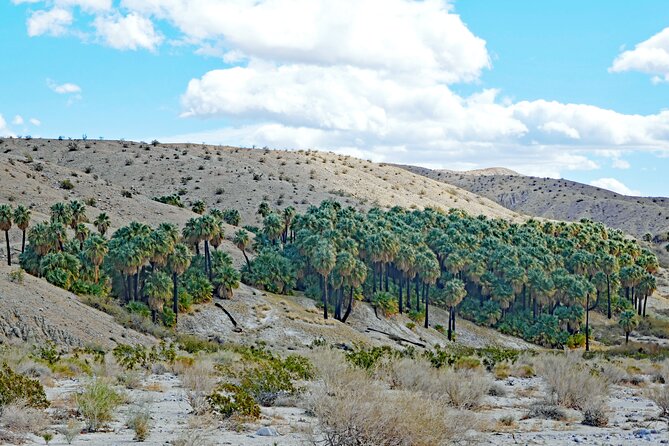 Palm Springs Self-Guided Driving Audio Tour - Who Will Appreciate This Tour?