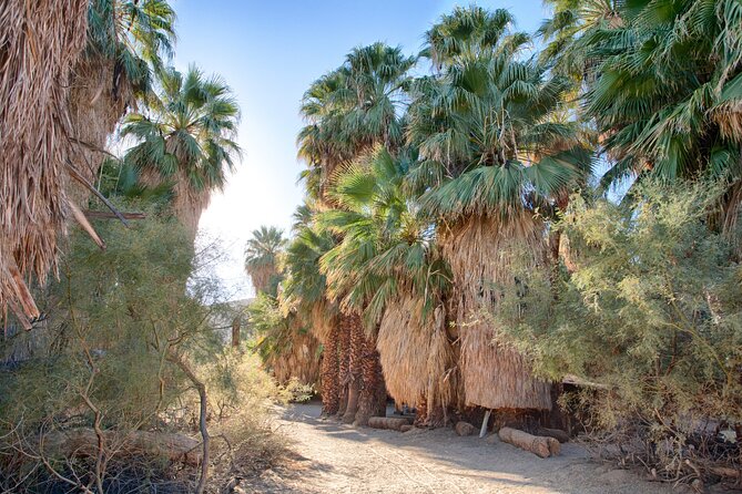 Palm Springs Self-Guided Driving Audio Tour - The Sum Up