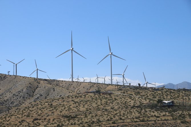 Palm Springs Windmill Tours - An Overview of Palm Springs Windmill Tours