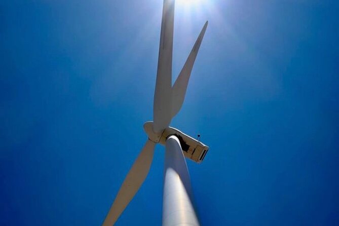 Palm Springs Windmill Tours - Considerations and Drawbacks