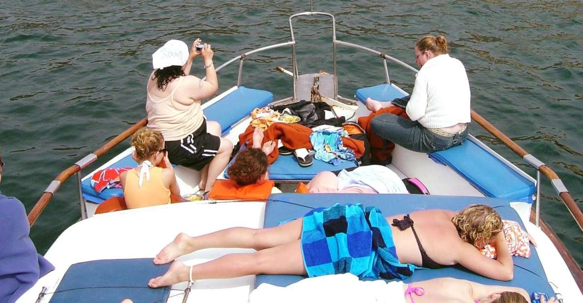 Palomino Islands Yacht Tour and swim alongside the sea lions - Final Thoughts