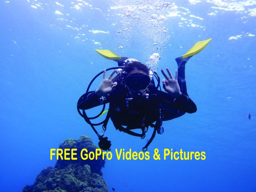 Panama City Beach: Beginners Scuba Diving Tour - Key Points