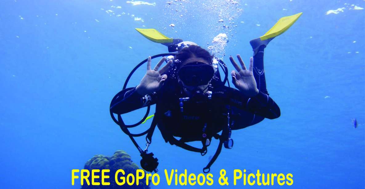Panama City Beach: Beginners Scuba Diving Tour - Why This Experience Stands Out