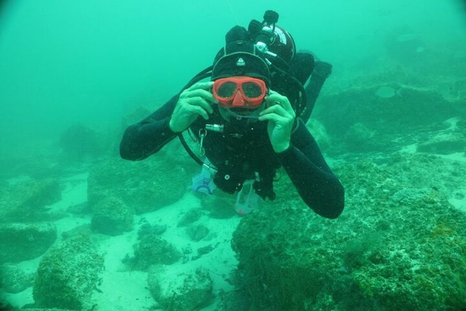Panama City Beach: Beginners Scuba Diving Tour - The Experience in Detail