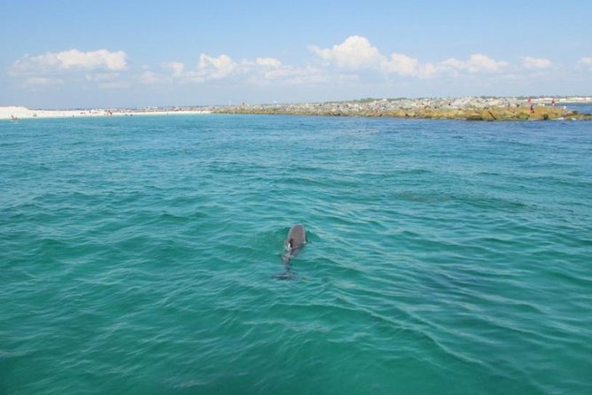 Panama City Beach Dolphin Sightseeing Sail - Weather and Cancellations