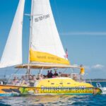 Panama City Beach: Dolphin Sightseeing Sail on the Footloose - The Experience: What Youll Love