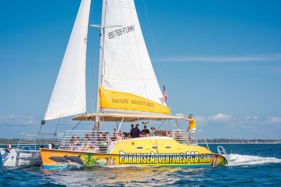 Panama City Beach: Dolphin Sightseeing Sail on the Footloose - The Experience: What Youll Love
