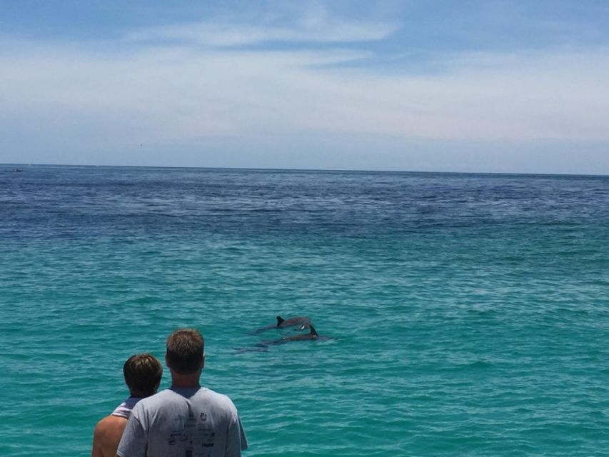 Panama City Beach: Dolphin Sightseeing Sail on the Footloose - Why This Tour Is Worth Considering