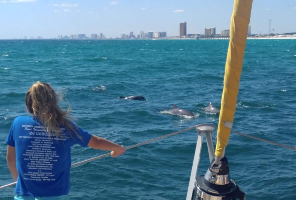 Panama City Beach: Dolphin Sightseeing Sail on the Footloose - Final Thoughts: Is This Tour for You?