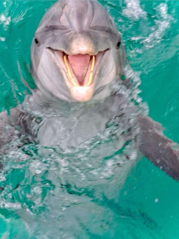Panama City Beach: Private Dolphin Cruise - FAQ
