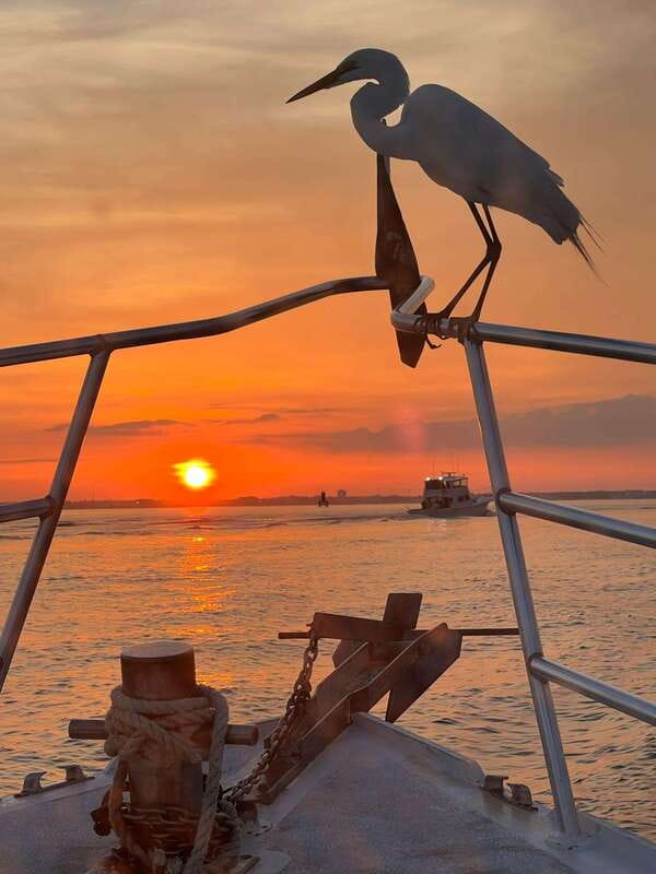 Panama City Beach: Private Sunset Cruise - Who Will Love This Experience?