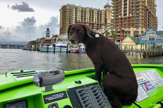 Panama City Beach's - Dolphin Sunset Cruise - The Sum Up