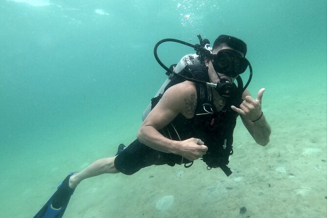 Panama City Scuba Diving Activity for Beginners - Price and Value: Is It Worth It?