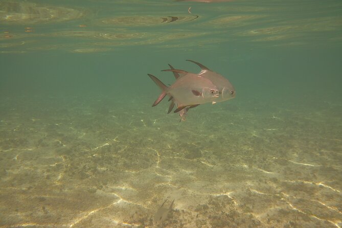 Panama City Scuba Diving Activity for Beginners - Who Would Love This Experience?