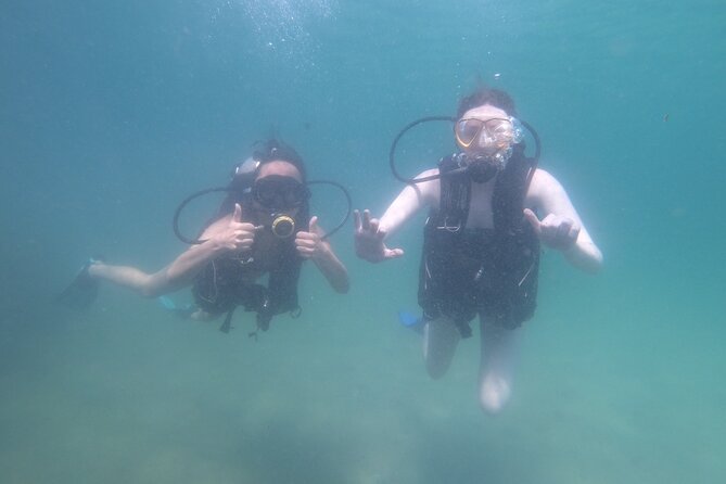 Panama City Scuba Diving Activity for Beginners - The Sum Up