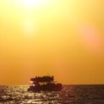 Panama City: Sunset Dolphin Cruise in St. Andrews Bay - The Magic of Dolphin Watching