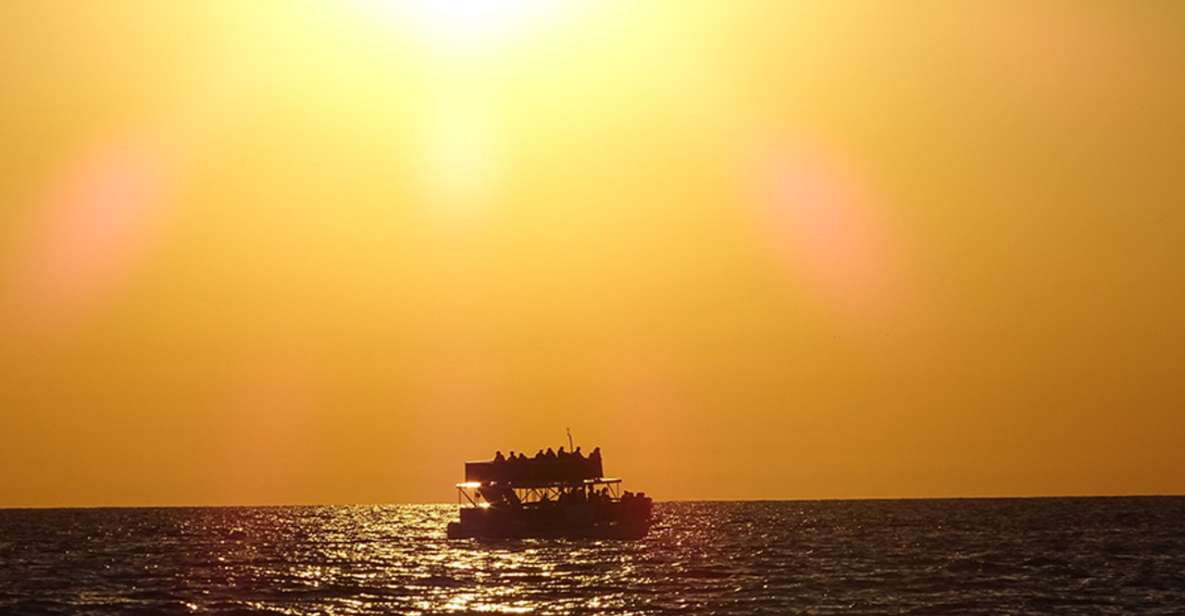 Panama City: Sunset Dolphin Cruise in St. Andrews Bay - The Magic of Dolphin Watching