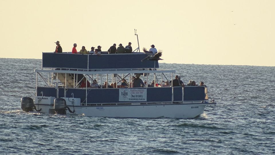 Panama City: Sunset Dolphin Cruise in St. Andrews Bay - Practical Tips for the Best Experience