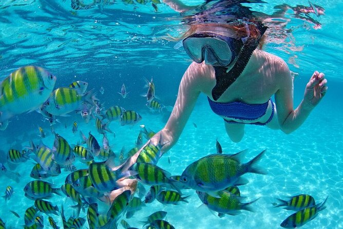 Paradise Waikiki Sunset Cruise + LIVE DJ + SWIMMING - Who Is This Tour Best For?