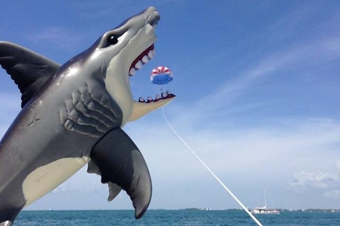Parasailing over the Historic Key West Seaport - The Sum Up