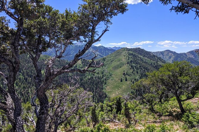Park City Hiking Activity with Local Guide - Why This Tour Offers Great Value  