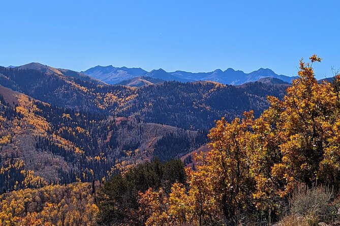 Park City Hiking Activity with Local Guide - Insights from Reviews and What to Know