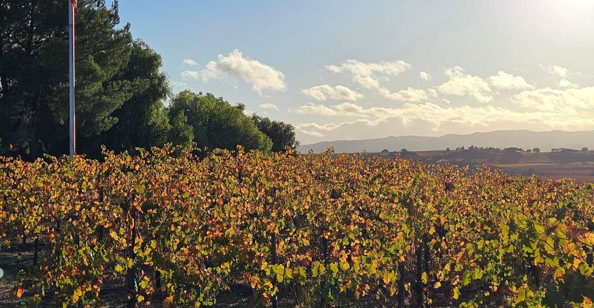 Paso Robles & Atascadero: 3-Winery Tour Including Lunch - The Itinerary: What to Expect from Start to Finish