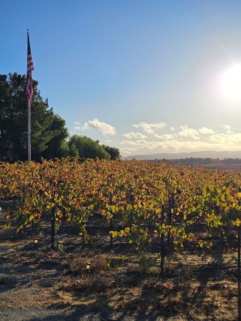 Paso Robles & Atascadero: 3-Winery Tour Including Lunch - Authentic Experiences & Insider Tips