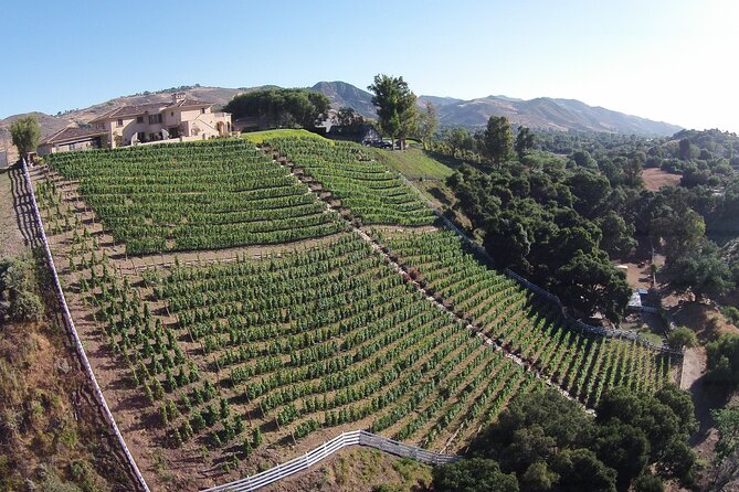 Paso Robles Gold Reserve Flight - In-Depth Review of the Paso Robles Gold Reserve Flight