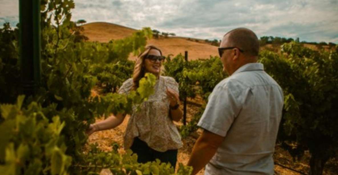 Paso Robles: Grapevine Getaway Exclusive Wine Tour - Who Should Book This Tour?