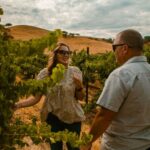 Paso Robles: The Luxe Wine Trail Excursion - The Experience’s Value and Practical Considerations