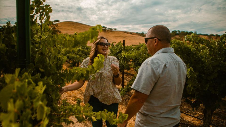 Paso Robles: The Luxe Wine Trail Excursion - The Experience’s Value and Practical Considerations