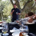 Paso Robles Wine Adventure with pickup from Paso Robles, CA - Who Should Take This Tour?