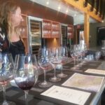 Paso Robles Wine Adventure with pickup from Pismo Beach, CA - Transportation & Group Size